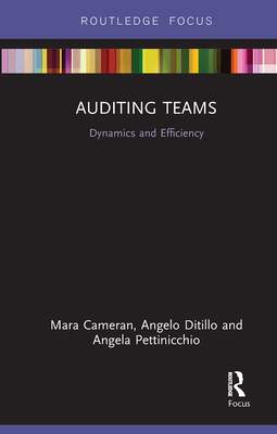 Auditing Teams: Dynamics and Efficiency (Routledge Focus on Business ...