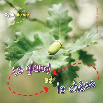 Cycle de Vie: Le Gland Et Le Ch?ne | Rainy Day Books