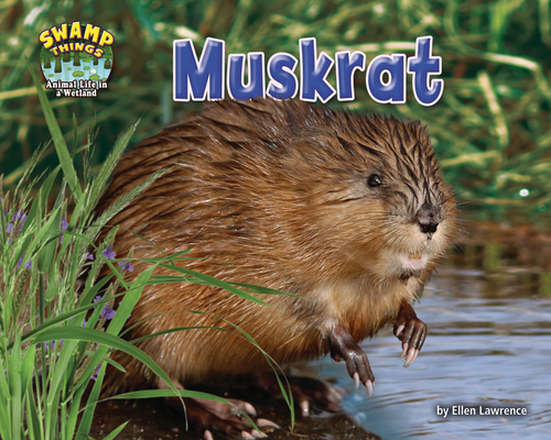 Muskrat (Swamp Things: Animal Life in a Wetland) | brookline booksmith