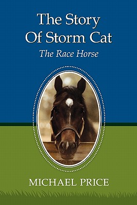 Storm Cat Racing