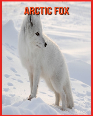 Arctic Fox: Childrens Book Amazing Facts & Pictures about Arctic Fox ...