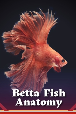 Anatomy Of A Betta Fish Betta Fin Anatomy And Physiology | Wiki