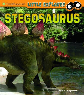 Baby Stegosaurus Book