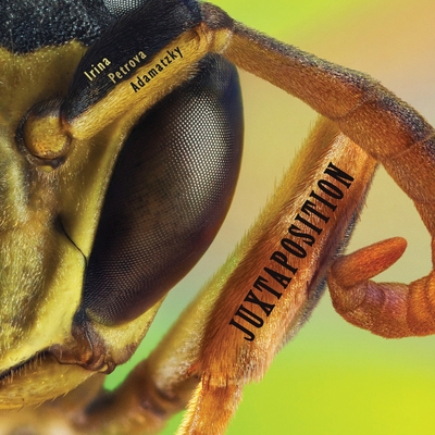 Juxtaposition (Paperback) | Boswell Book Company