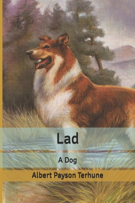 Lad: A Dog (Paperback) | Penguin Bookshop