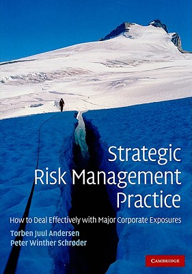 Strategic Risk Management Practice | mitpressbookstore