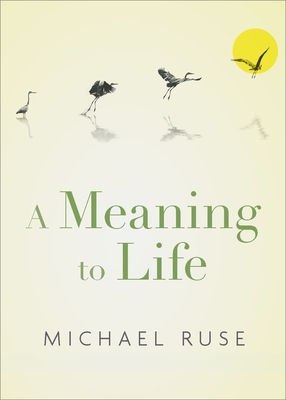 A Meaning to Life (Philosophy in Action) | mitpressbookstore