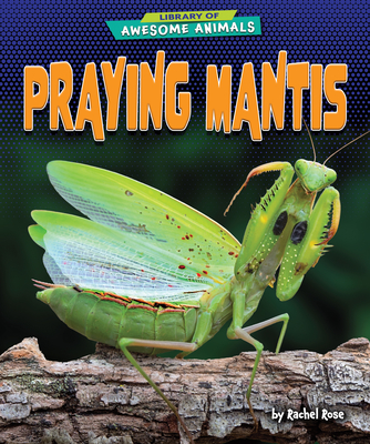 Praying Mantis (Library of Awesome Animals) | mitpressbookstore