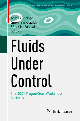 Fluids Under Control: The 2021 Prague-Sum Workshop Lectures ...