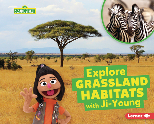 Grassland Habitat For Kids