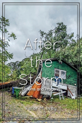 After the Storm: Poems and Prayers | Malaprop's Bookstore/Cafe