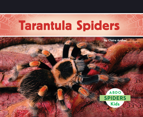 Tarantula Spiders | Hooked