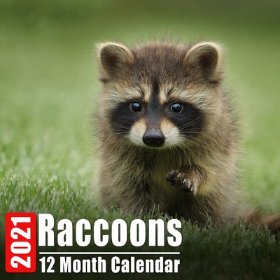 Calendar 2021 Raccoons: Cute Raccoon Photos Monthly Mini Calendar With ...