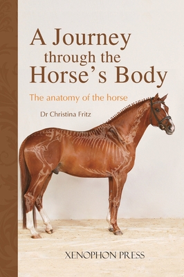 A Journey Through the Horse's Body: The Anatomy of the Horse | Hooked