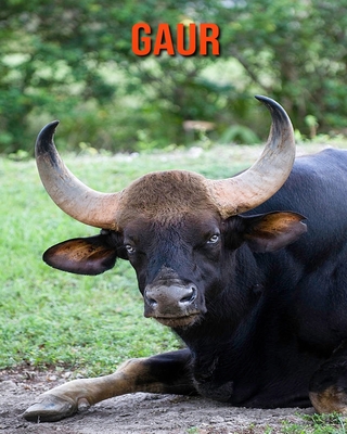 Gaur: Amazing Facts about Gaur (Paperback) | The Doylestown Bookshop