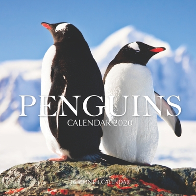 Penguins Calendar 2020: 16 Month Calendar | Pyramid Books