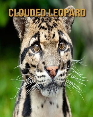 Leopard Books