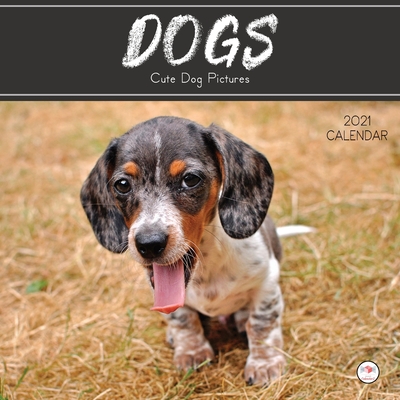 2021 Calendar Dogs: Cute Dog Images Theme Mini 8.5 x 8.5 12 Month ...
