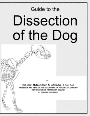 Dissect A Dog