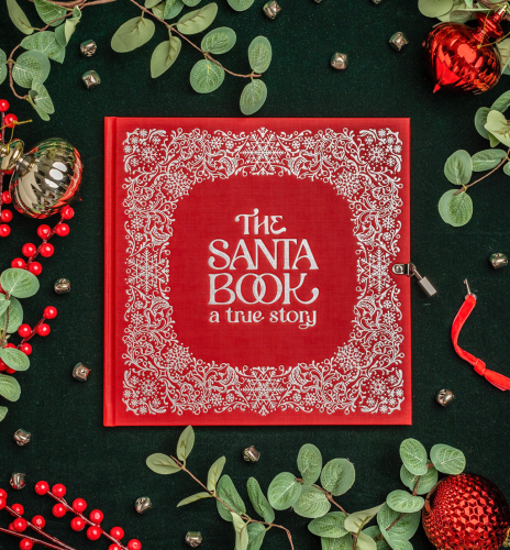 The Santa Book: A True Story | Penguin Bookshop