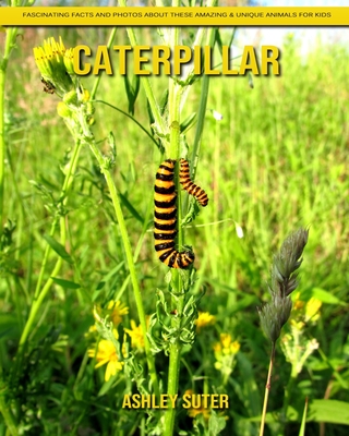 Fascinating Facts About Caterpillars Butterfly Kits With Live