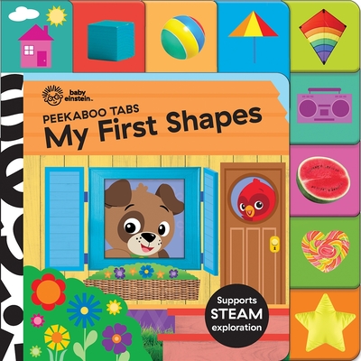 Baby Einstein Warning Baby Einstein: My First Signs (Video 2007)