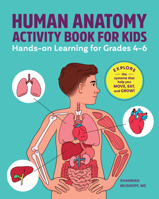 Human Body Diagram For Kids