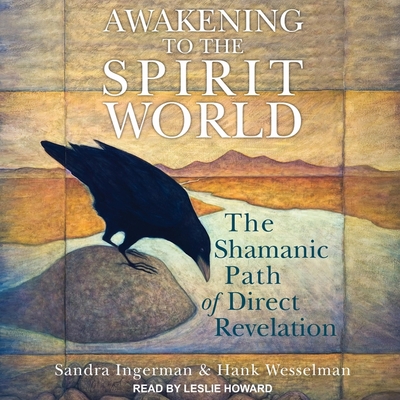 Awakening to the Spirit World: The Shamanic Path of Direct Revelation ...
