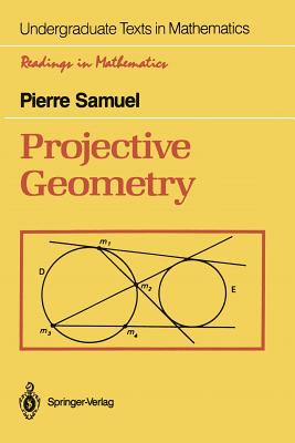 Projective Geometry | mitpressbookstore