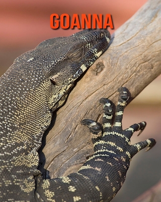 Goanna Facts For Kids Adults: Pictures, In-Depth, 51% OFF