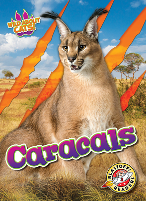 Caracals (Wild about Cats!) | Hooked