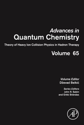 Theory of Heavy Ion Collision Physics in Hadron Therapy: Volume 65 (Advances in Quantum ...
