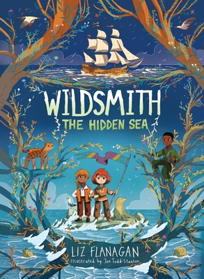 The Hidden Sea (Wildsmith) | Gibson's Bookstore