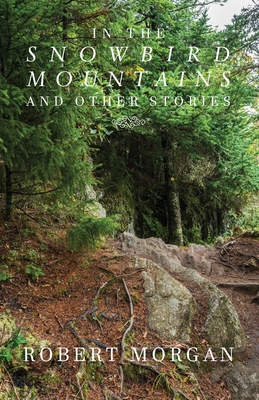 Robert Morgan Author