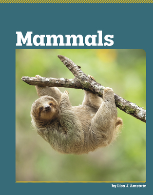 Mammals (All about Animal Classification) | The Literate Lizard Online ...