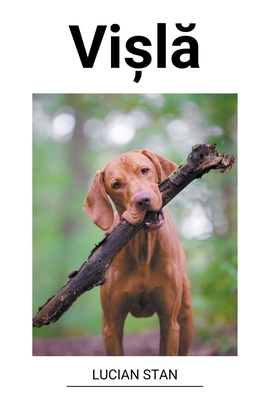 Vișlă (Paperback) | Murder By The Book