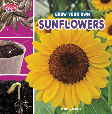 Grow Your Own Sunflowers (Paperback) | Harvard Book Store