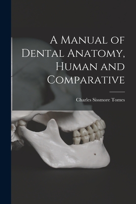 Introduction To Dental Anatomy Introduction To Dental Anatomy And