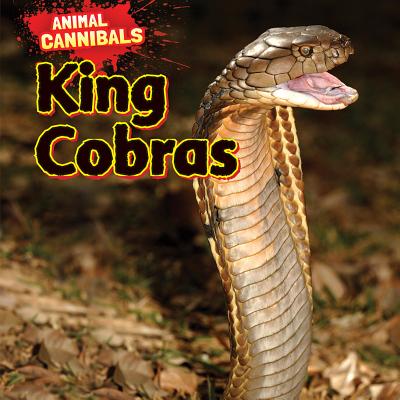 Description Of King Cobra