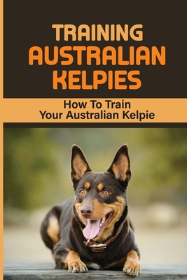 Training Australian Kelpies: How To Train Your Australian Kelpie ...