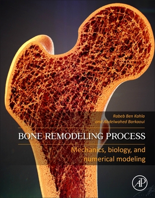 Bone Remodeling Process: Mechanics, Biology, and Numerical Modeling ...