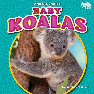 Baby Koalas (Animal Babies Set Two) | Readmore Books