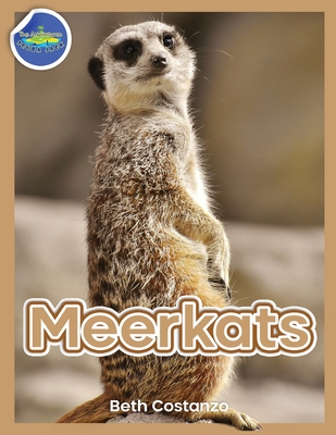 Meerkat Pictures For Kids