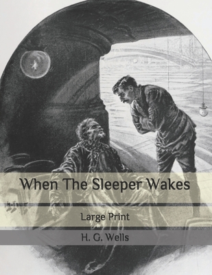 When The Sleeper Wakes: Large Print (Paperback) | Malaprop's Bookstore/Cafe