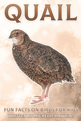 Quail Fun Facts For Kids California Quail ID, Facts, Diet, Habit