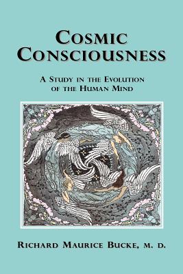 Human Consciousness Evolution