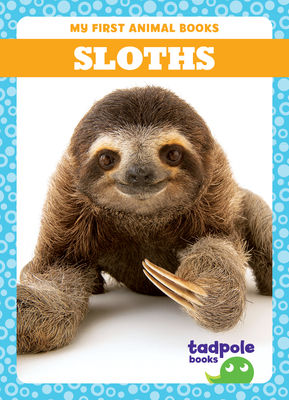 Sloths (Library Binding) | Village Books: Building Community One Book ...