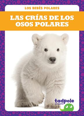 Osos Polares Las Crías De Los Osos Polares (Polar Bear Cubs) (Library