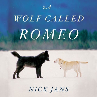 A Wolf Called Romeo Lib/E (Compact Disc) | Avid Bookshop