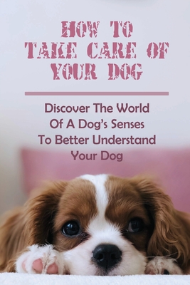 How To Take Care Of Your Dog: Discover The World Of A Dog's Senses To ...